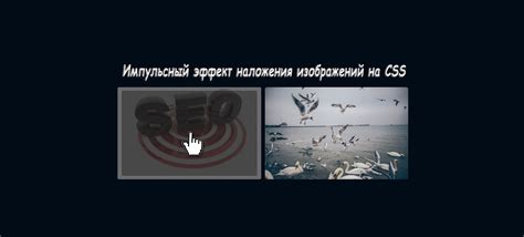 Импульсный hover эффект изображений на css