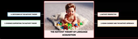 The Nativist Theory Of Language Acquisition Algor Cards