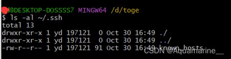 【git】gitee第一次使用git Clone Ssh下载文件时报错：the Authenticity Of Host ‘