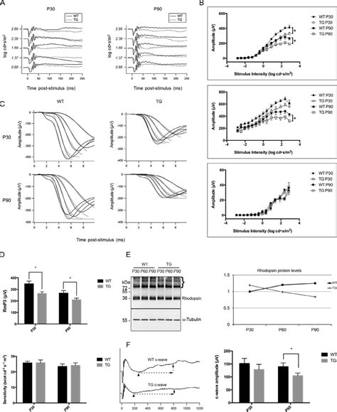 Early Functional Deficits In Rods And Rpe A Representative Examples