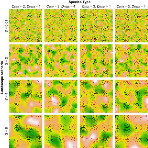 sample patterns of spatial distribution of individuals under different
