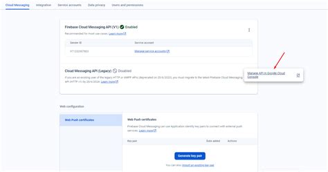 How To Get Fcm Server Key