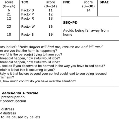 The Wells And Matthews 1994 Self Regulatory Executive Function Download Scientific Diagram
