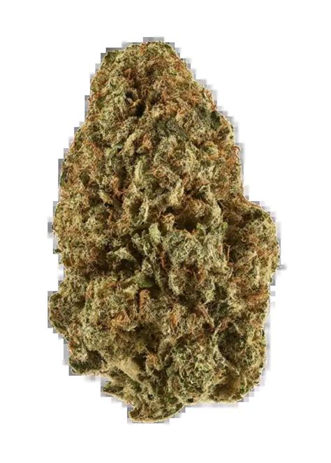 Deadhead Og Cannabis Strain Information Growdiaries