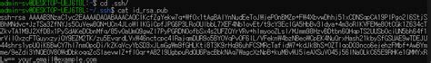 git ssh key를 이용해 인증없이 사용하기 달소씨의 하루