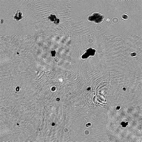 Snowdetection Object Detection Dataset By Snow Holograms