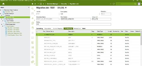 Data Migrationexecute Job Function Error Message Ifs Community