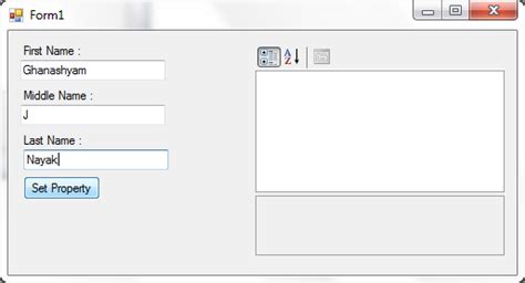 Use PropertyGrid Control And Set Custom Properties In C