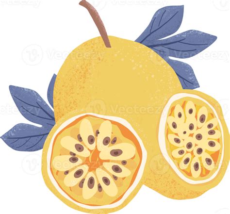 Passion Fruit Elements 46434815 Png