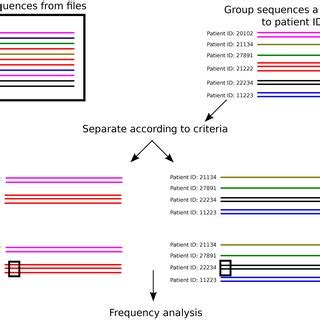 Assignment Of Sequence To Groups According To Patient ID And Other Download Scientific Diagram