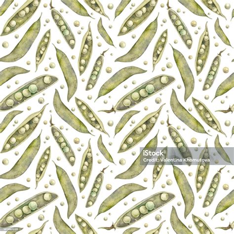 완두콩의 완벽 한 패턴 수채화로 그린 손입니다 직물 종이 배경 직물 포장에 인쇄하기위한 패션 인쇄 패턴 건강한 생활방식에 대한 스톡 벡터 아트 및 기타 이미지 Istock