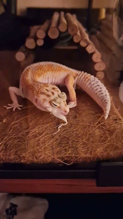 берегите своих Мам Youtube