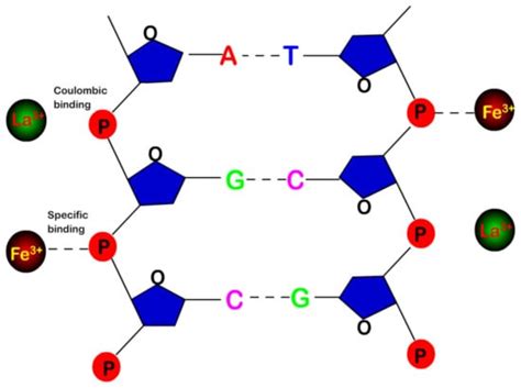 Polymers Special Issue Ionic Polymers