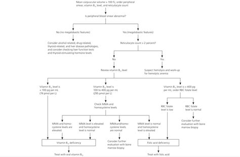 Can Alcohol Cause Macrocytosis Recovery Ranger