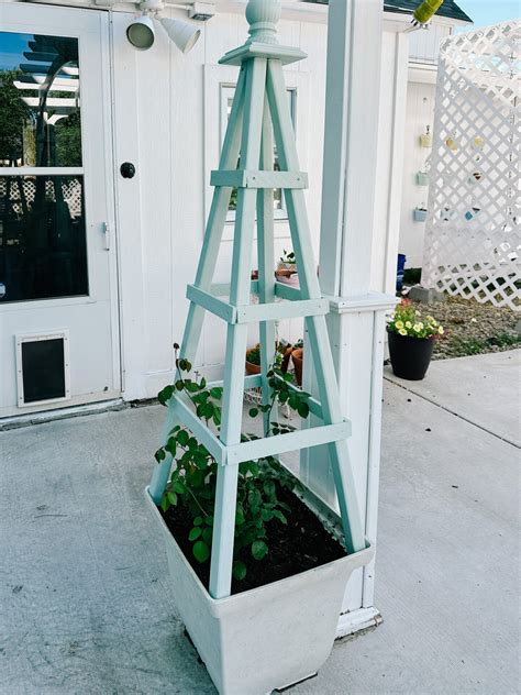 Diy Obelisk For Roses At Home With Ashley