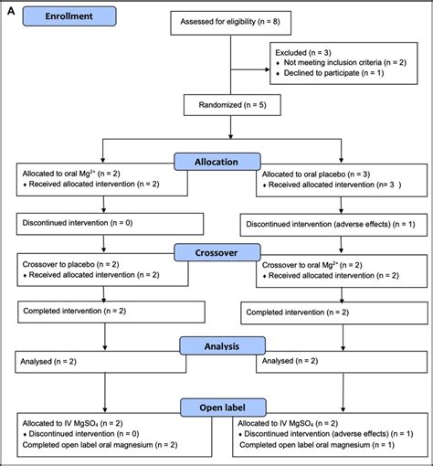 Screening Randomization And Follow Up A Consort Diagram Of The Xmen