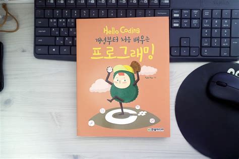 Hello Coding 프로그래밍 비전공자도 볼 수 있는 그림으로 배우는 기초 개념 헬로 코딩
