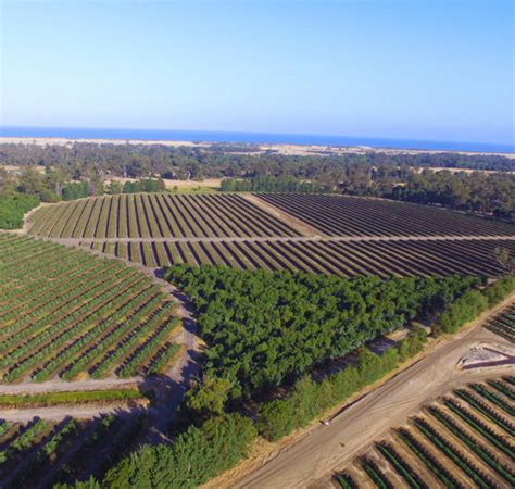 A Conversation With Austons Tim Lee