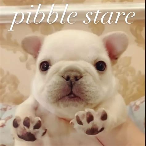 I Was Talking To One Of My Friends Yesterday And I Had The Brilliant Idea To Draw Chris And Josh