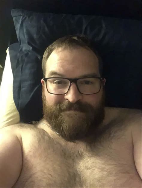 Solo Bear Patrick Bear Photo 1