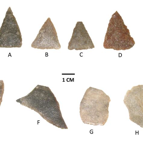 Aztalan Samples For Cl Testing Madison Triangular Projectile Points