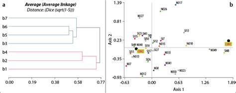 A Cluster Analysis Dendrogram Results B Biplot Results For Each Of