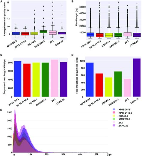 Base Quality Read Length Read Length N50 Total Base And Download Scientific Diagram