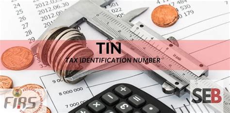 How to Get Your TIN Number In 5 Days (2024) | Smart Entrepreneur Blog | Nigeria