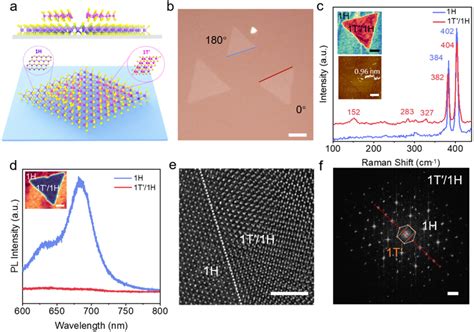 Characterizations Of Cvd‐grown 1t′1h Mos2 Heterophase Bilayer A A Download Scientific