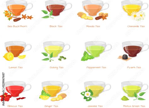 Herbal Tea Types Different Type Green Black Teas Hot Sugar Drink In Glass Cup Flowers Jasmin