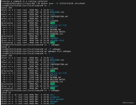 Docker安装tomcattomcat Docker Csdn博客