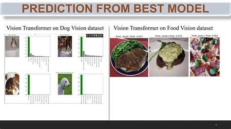 enhancing vision models for fine grained classification ppt