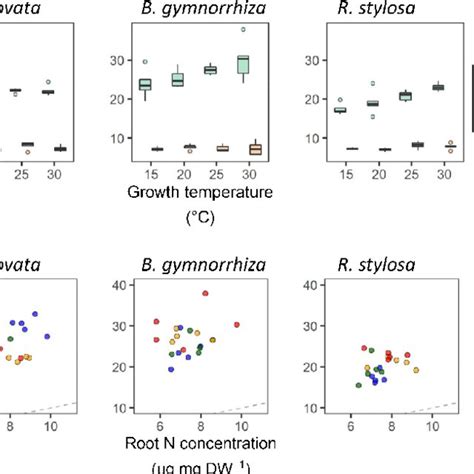 Leaf And Root Nitrogen Concentration N Concentration μg Mg Dw −1 In Download Scientific