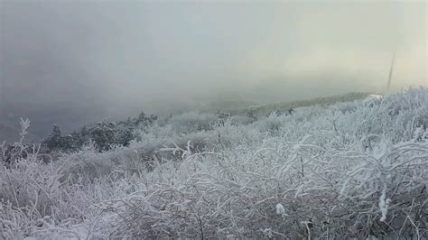 2017년 첫 눈 쌓인 산 인스티즈instiz 이슈 카테고리