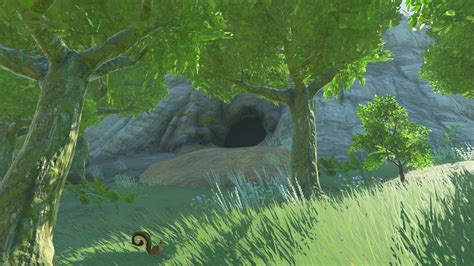 File Totk Retsam Forest Cave Entrance 2 Png Zelda Wiki