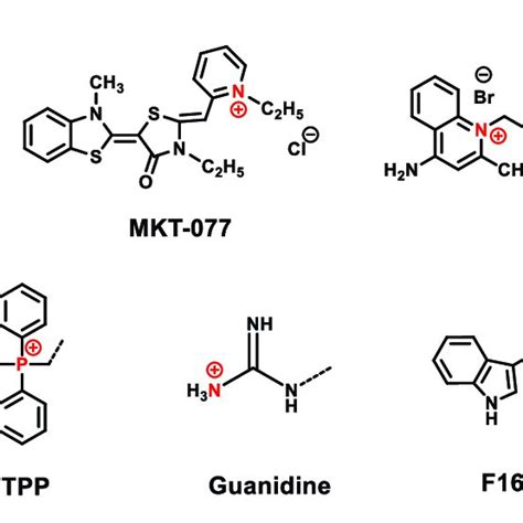 Some Common Mitochondria Targeting Cations Download Scientific Diagram