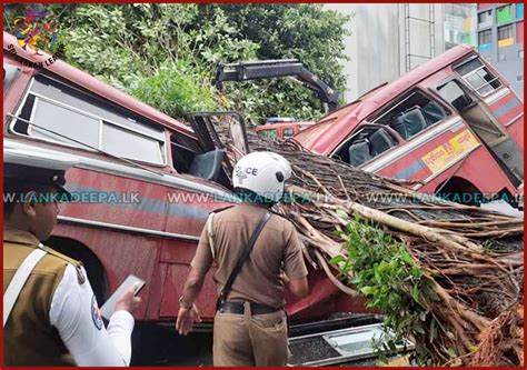 බසයක් මතට ගසක් කඩා වැටේ 17ක් රෝහලේ