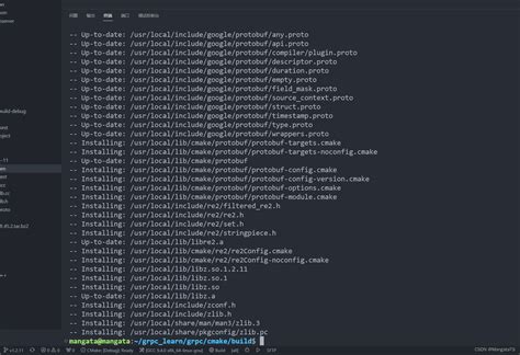 grpc|protobuf的安装、编译、运行笔记(C++)_protobuf gitee-CSDN博客