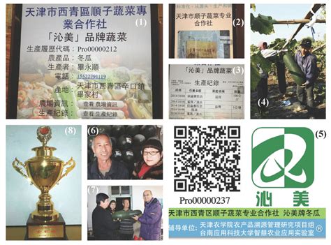 C Traceability System User Interfaces First Page Of Brief