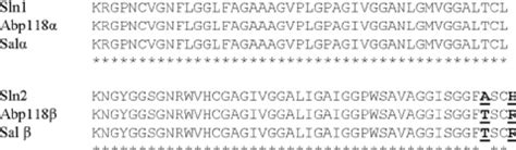 Alignment Of The Two Component Peptides Of The Natural Bacteriocin Download Scientific Diagram