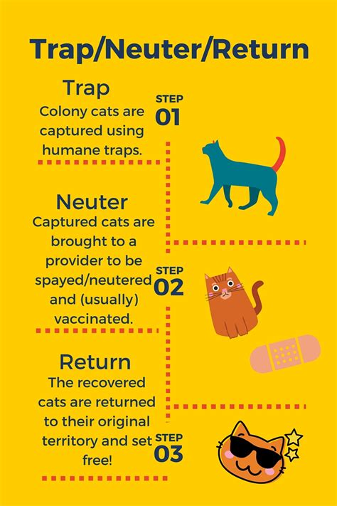 Trap Neuter Return Baldwin Public Library