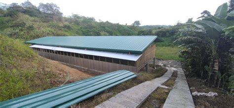 Revised FORM PDS From CSC OFFICIAL