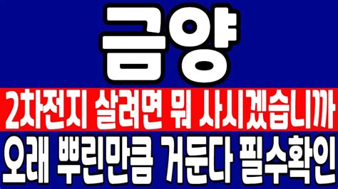 금양 주가전망 두달동안 투자금 1조4천억원 회수 할수있습니까 주주님들 필수확인 김프로금양2차전지4695에스엠랩류광지매수매도수주공시4695배터리3억셀