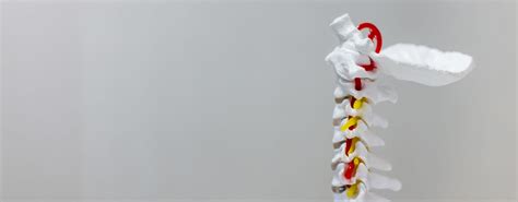 Adjacent Segment Disease Asd Treatment And Symptoms