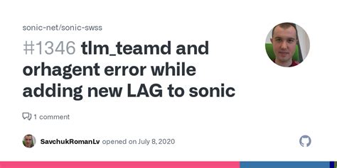 Tlm Teamd And Orhagent Error While Adding New LAG To Sonic Issue Sonic Net Sonic Swss