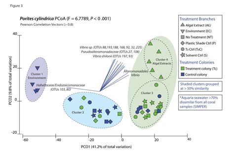 Do Macroalgae Refugiums Have Unseen Consequences Reef Builders The