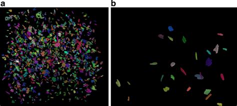 3d Reconstruction Of Synapses A Reconstruction Of Synapses On The Download Scientific Diagram