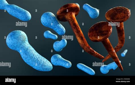 3d Rendering Of Clostridium Tetani Is A Bacterium That Produces A