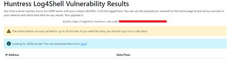 what is and how to prevent apache log4j vulnerability purplebox