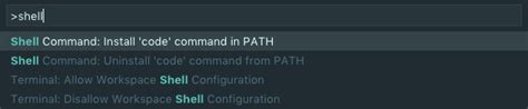 프로그래밍 놀이 Visual Studio Code Shell 명령어 설치
